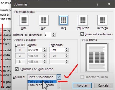 Escribe de manera profesional con dos columnas en Word
